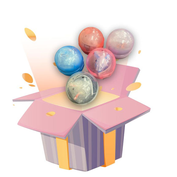 Random Gacha Gacha Mystery Box – WABI-SABI STORE